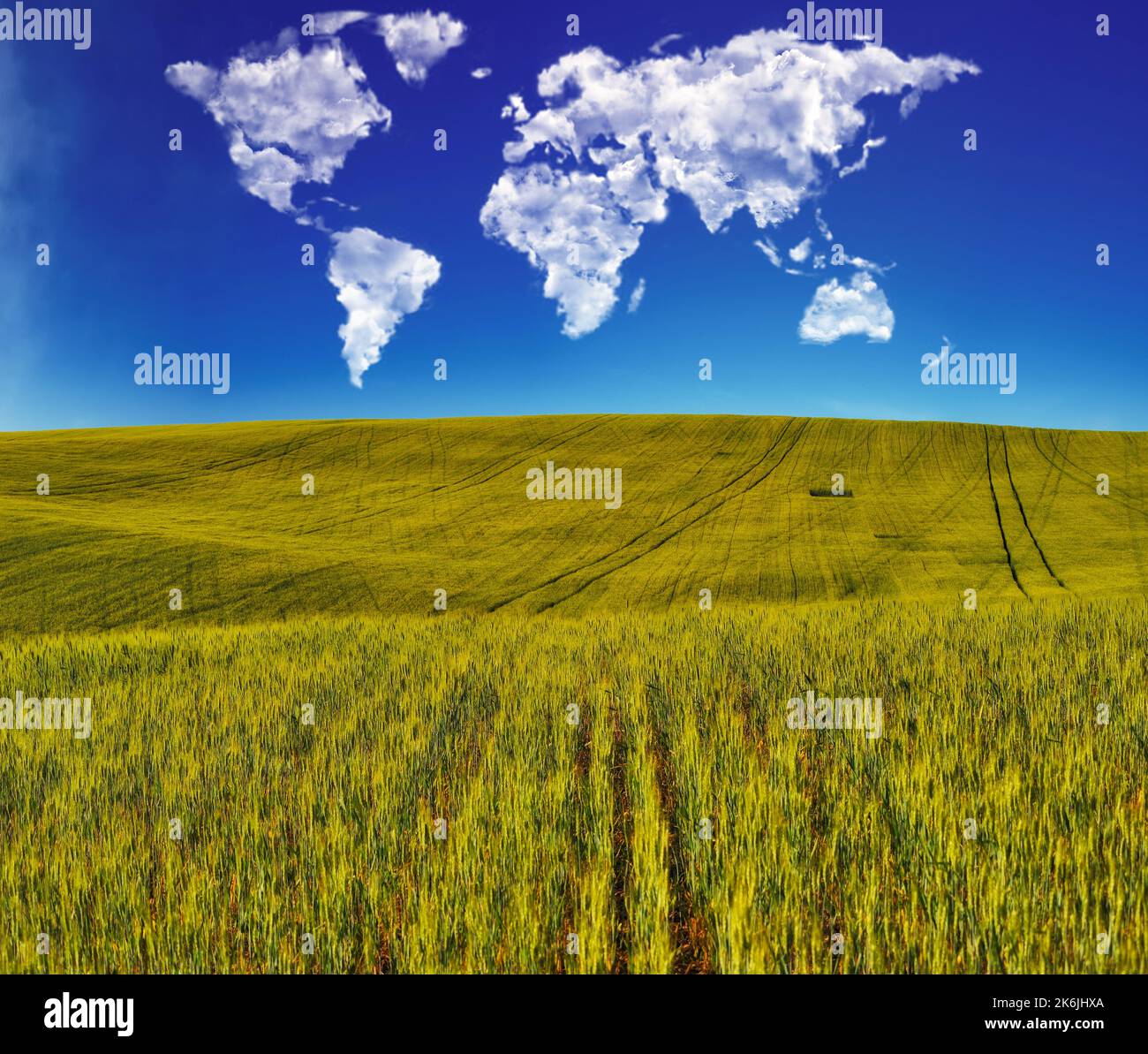 clouds in the form of a world map over a green field. conceptual ...