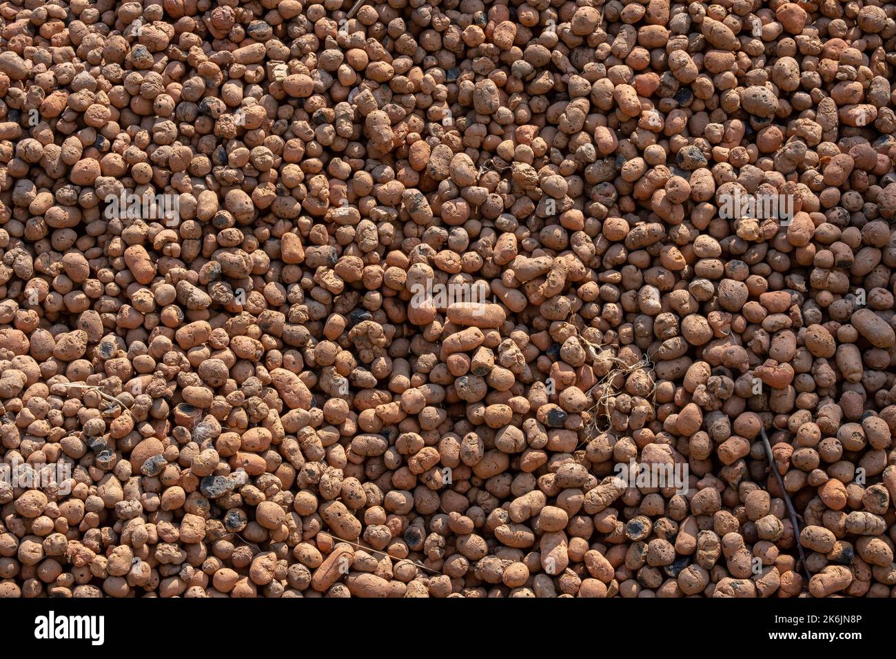 Top view of expanded clay texture background in sunlight Stock Photo ...