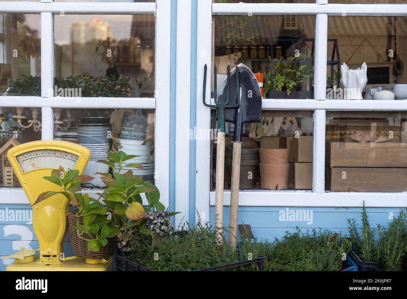 Small business, Flowers delivery. Modern flower shop interior ...