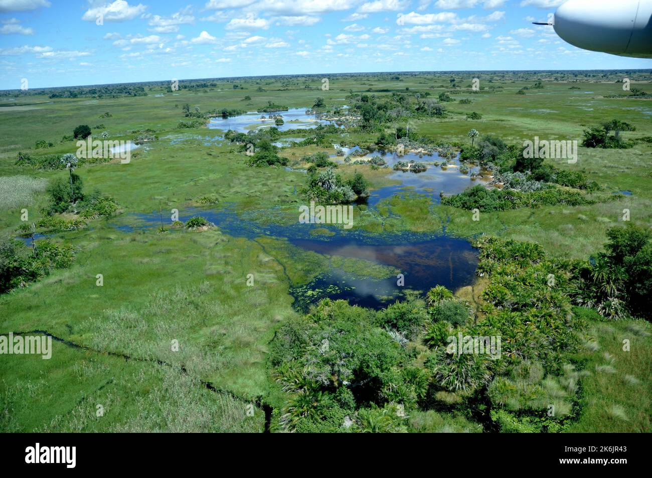 Okavango Delta: The biggest floods (from Angola) since 46 years has hit ...