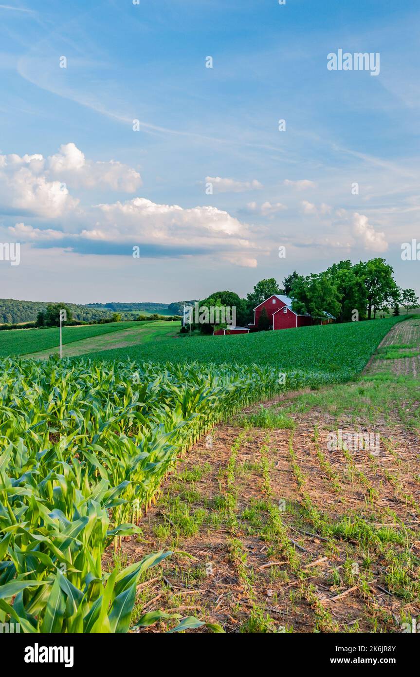 A Summer Day at the Farm, York County, Pennsylvania USA, Pennsylvania ...