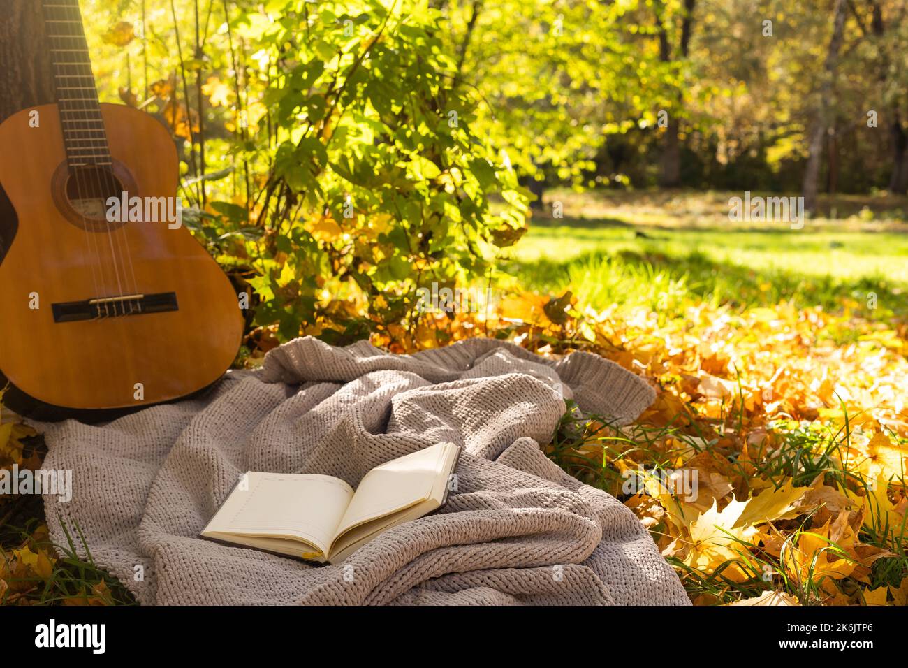 Autumn background with books, guitar and plaid Stock Photo - Alamy
