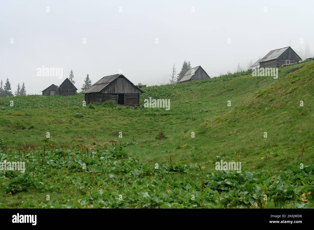 Seasonal houses in the mountains, houses of cow and sheep herders in ...