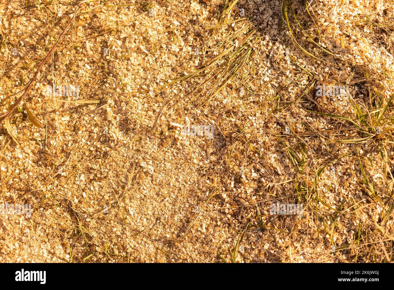 Sawdust or wood dust texture background. Wood sawdust background ...