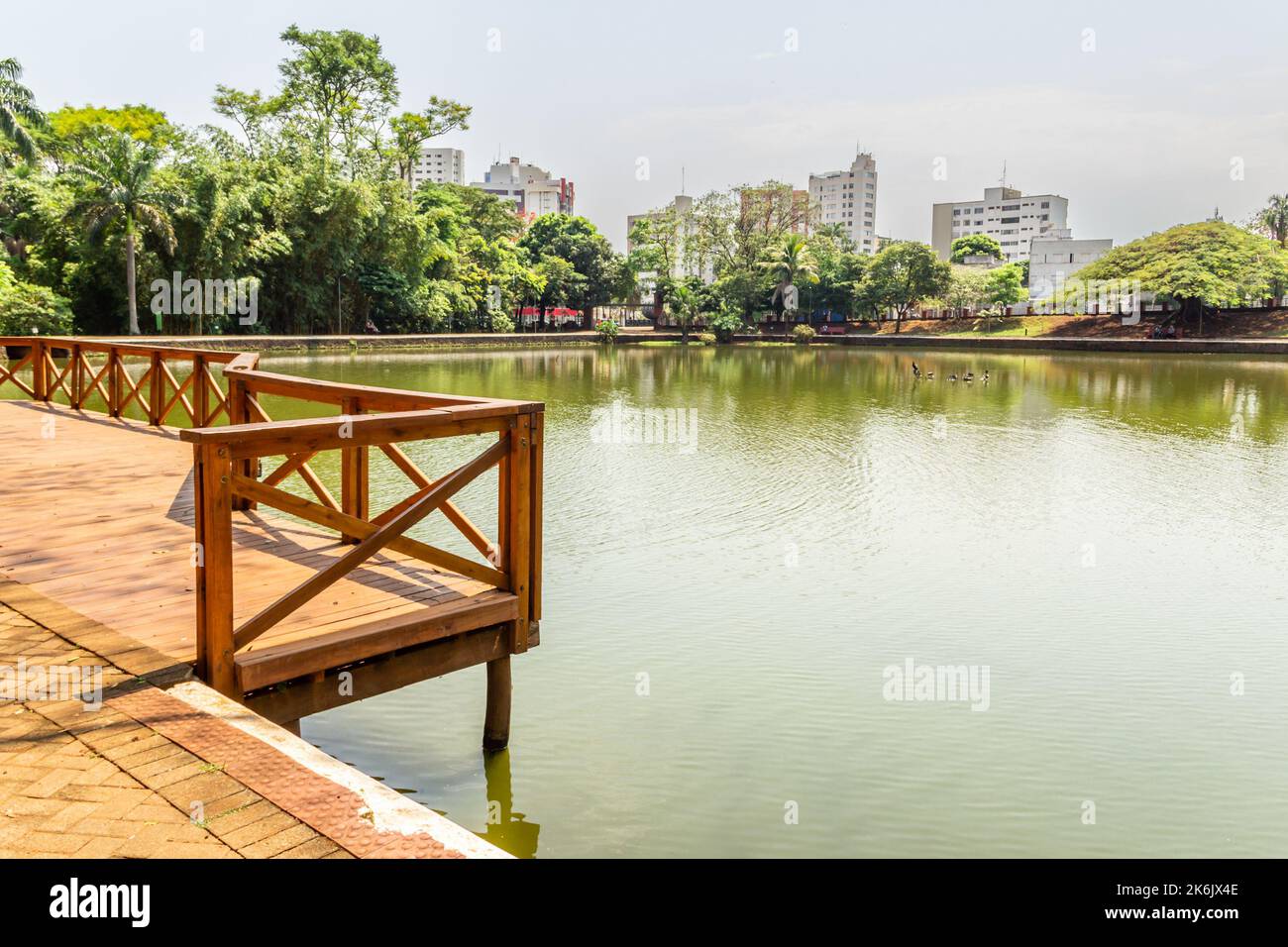 Bosque dos buritis hi-res stock photography and images - Alamy
