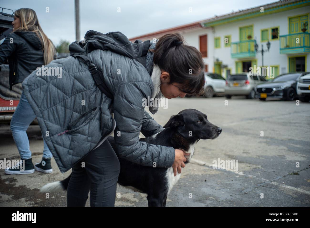 Salento, Quindio, Colombia - June 6 2022: Young Latin Woman Petting a ...