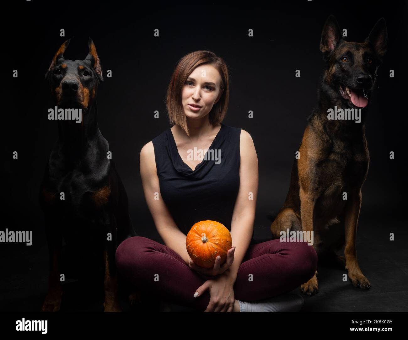 Portrait of a Doberman dog and a Belgian shepherd dog with a girl owner ...