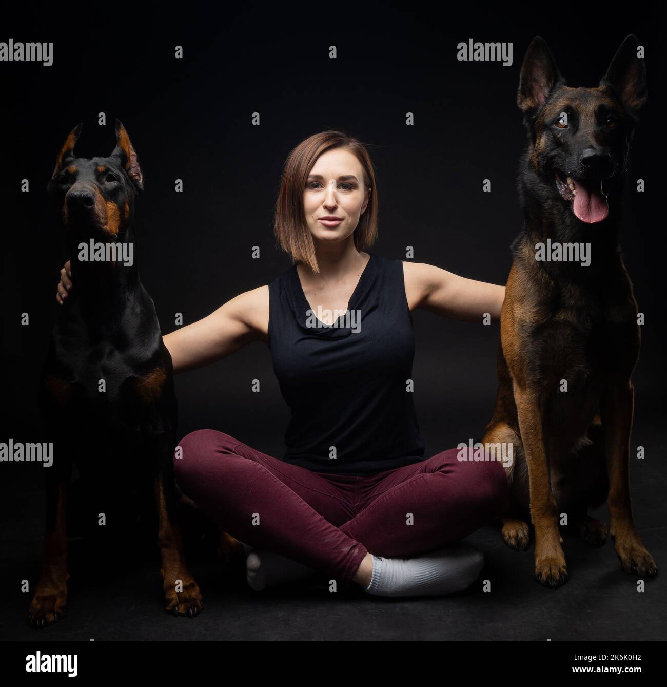 Portrait of a Doberman dog and a Belgian shepherd dog with a girl owner ...
