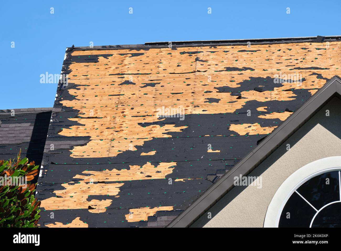 Hurricane protection plywood hi-res stock photography and images - Alamy