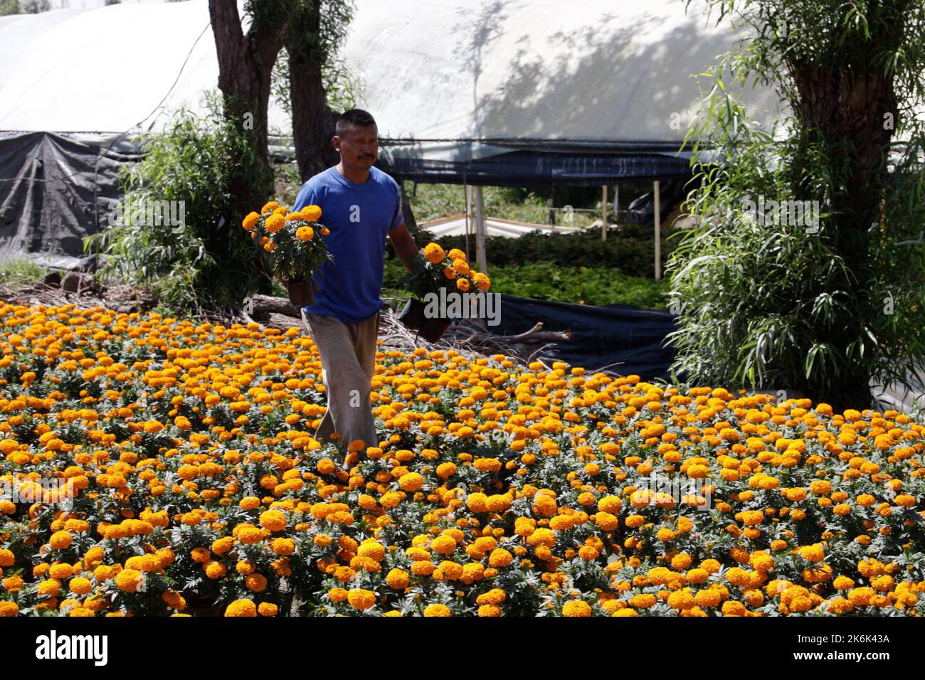 Mexico City, Mexico. 13th Oct, 2022. October 13, 2022, Mexico City ...