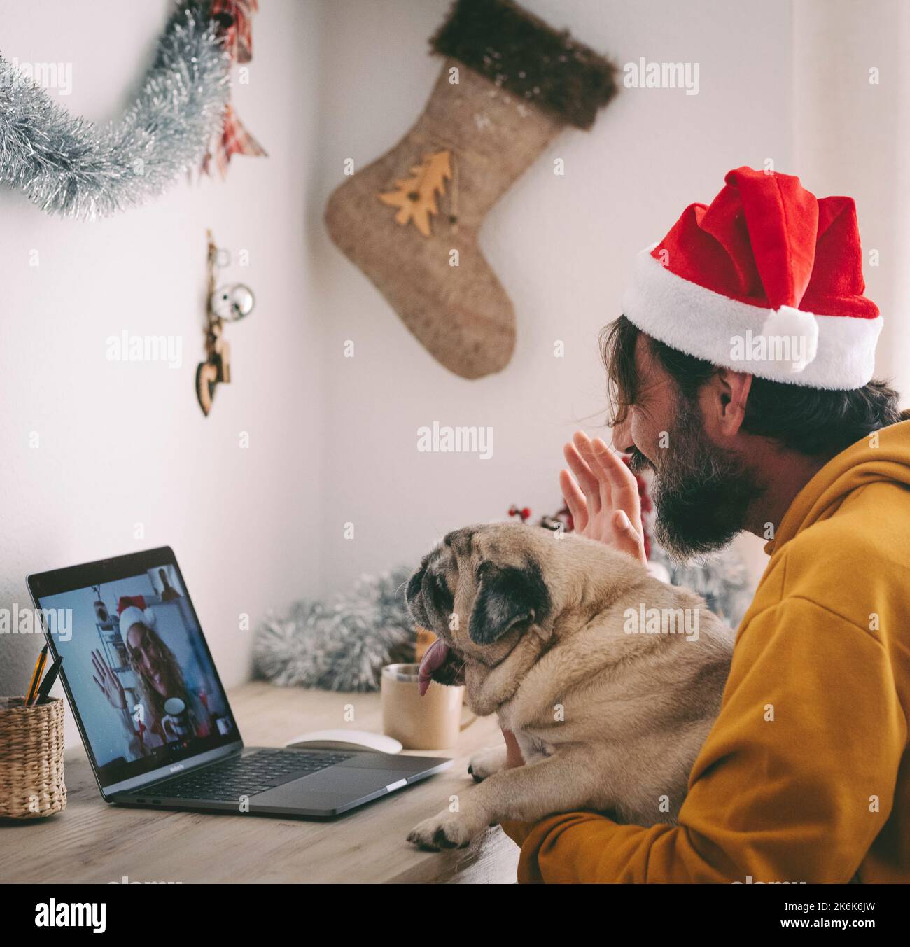 One woman doing video call on laptop with his old dog pug best friends ...