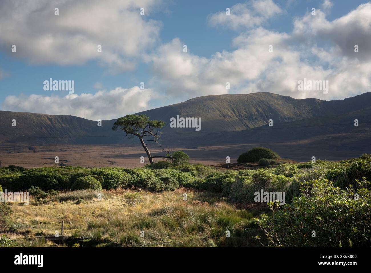 Impressive landscape of the vast and remote peatlands at the edge of ...