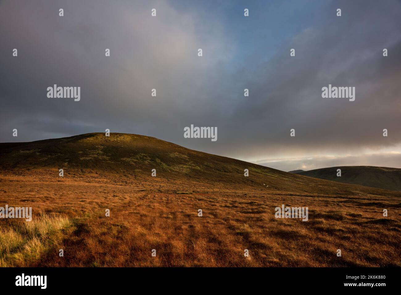 Bogland at the edge of Wild Nephin National Park in Ireland. It is ...