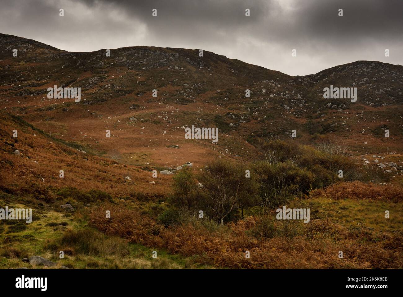Peat covered mountain of Wild Nephin National Park in Ireland. It is ...