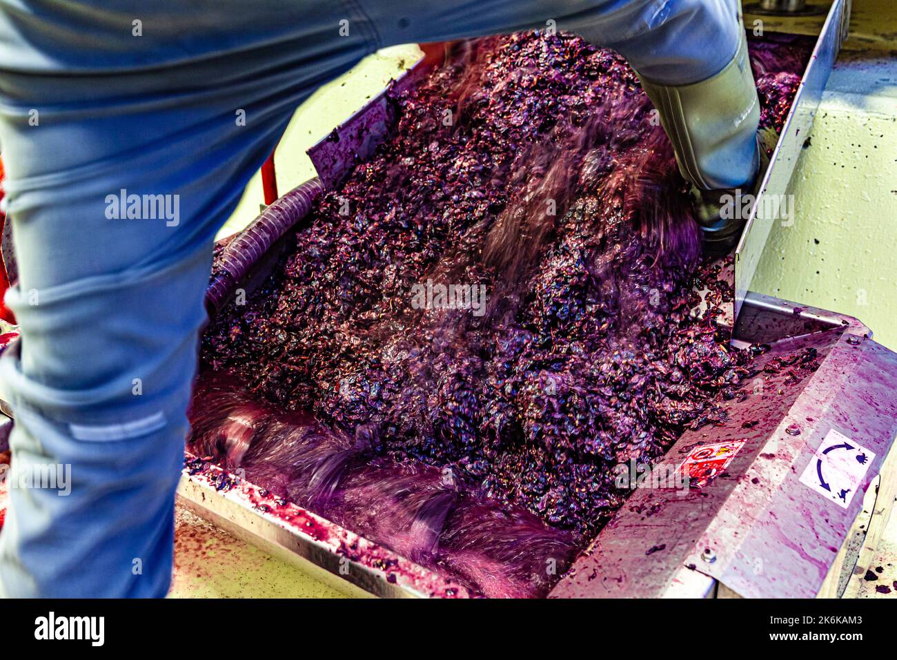 Devatting a tank of red wine Stock Photo - Alamy