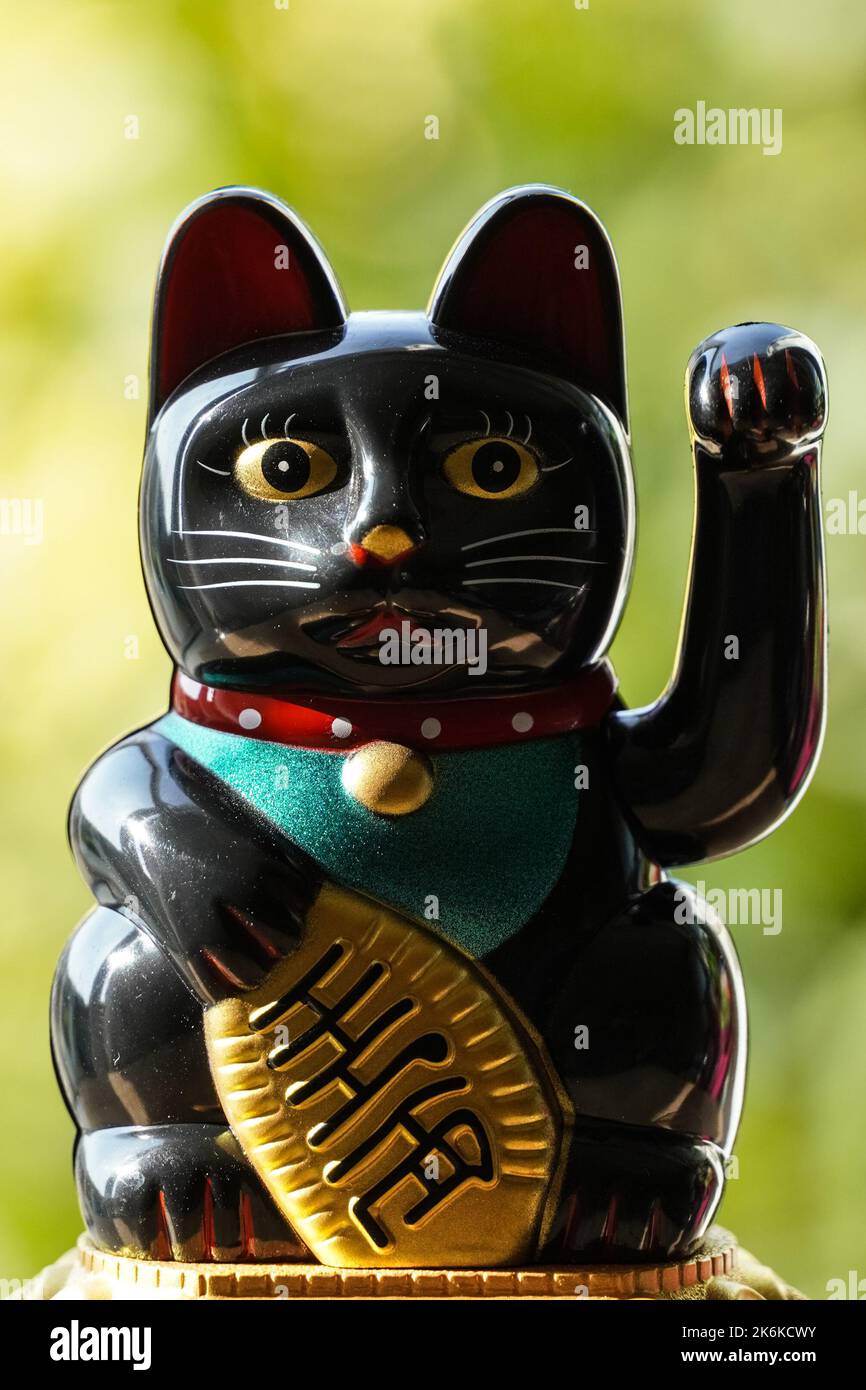 Lucky fortune cat, Maneki Neko Stock Photo - Alamy Lucky fortune cat, Maneki Neko Stock Photo - Alamy