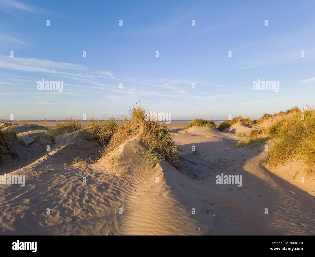 Wind blown sand over shell hi-res stock photography and images - Alamy