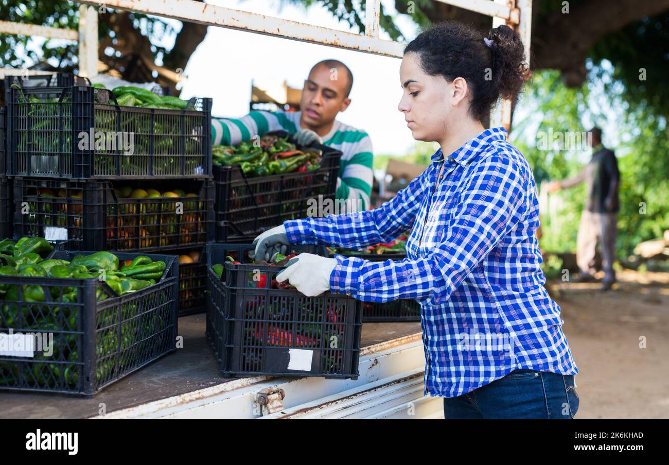 Hispanic female farm worker loading boxes with peppers in truck Stock ...
