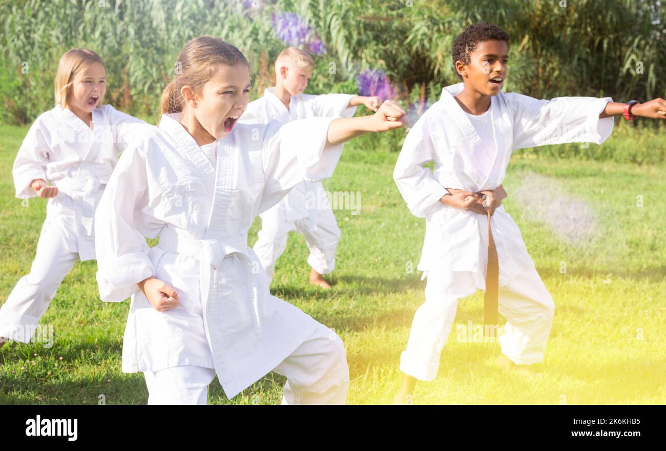 Positive children practicing karate in park Stock Photo - Alamy