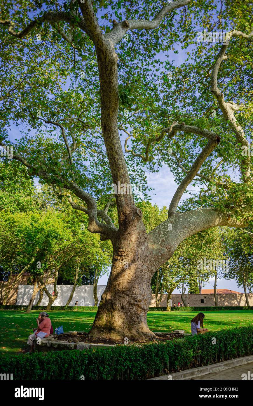 istanbul, Turkey - August 11 2021 : People are visiting The gate of ...