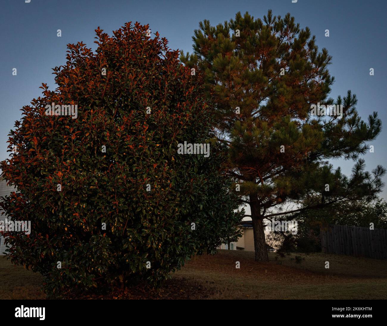 nature is so beautiful Stock Photo - Alamy