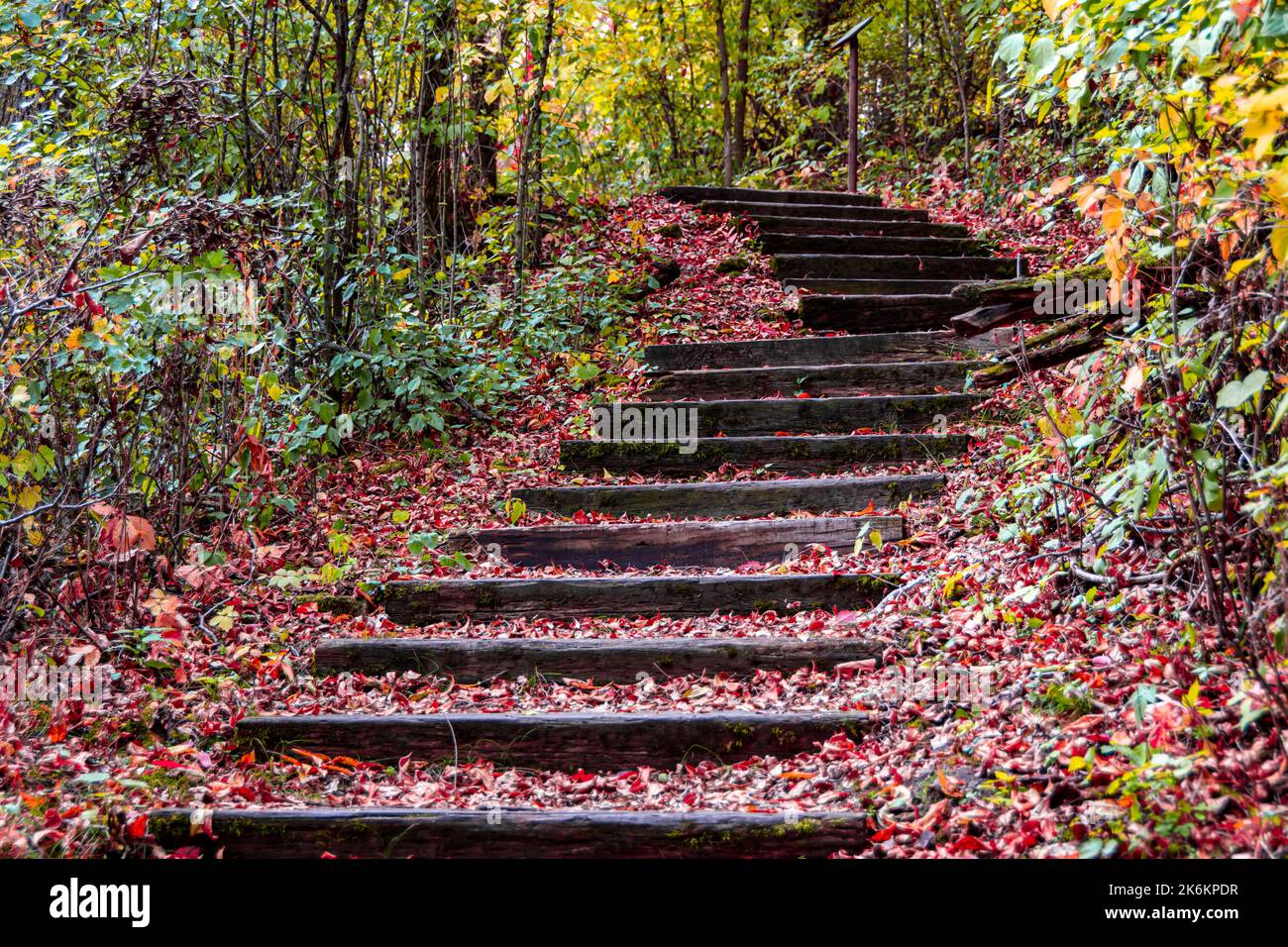 Stairs on a trail hi-res stock photography and images - Alamy