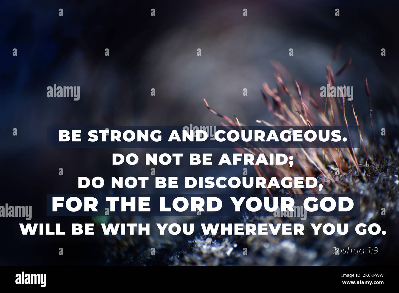 Biblical Inspirational Quotes Stock Photo - Alamy