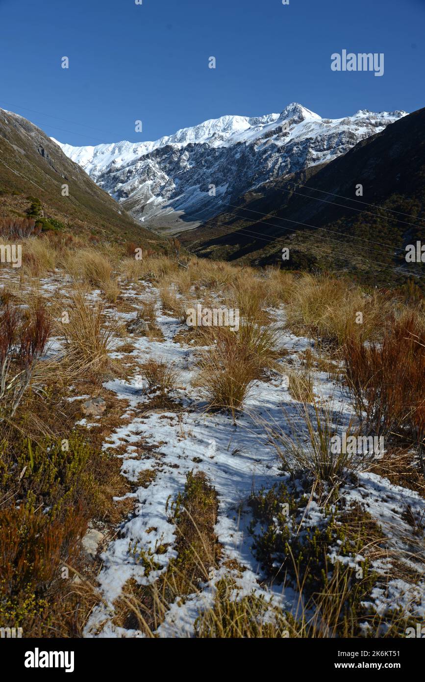 Alpine landscape at Arthur's Pass in the Southern Alps, New Zealand ...
