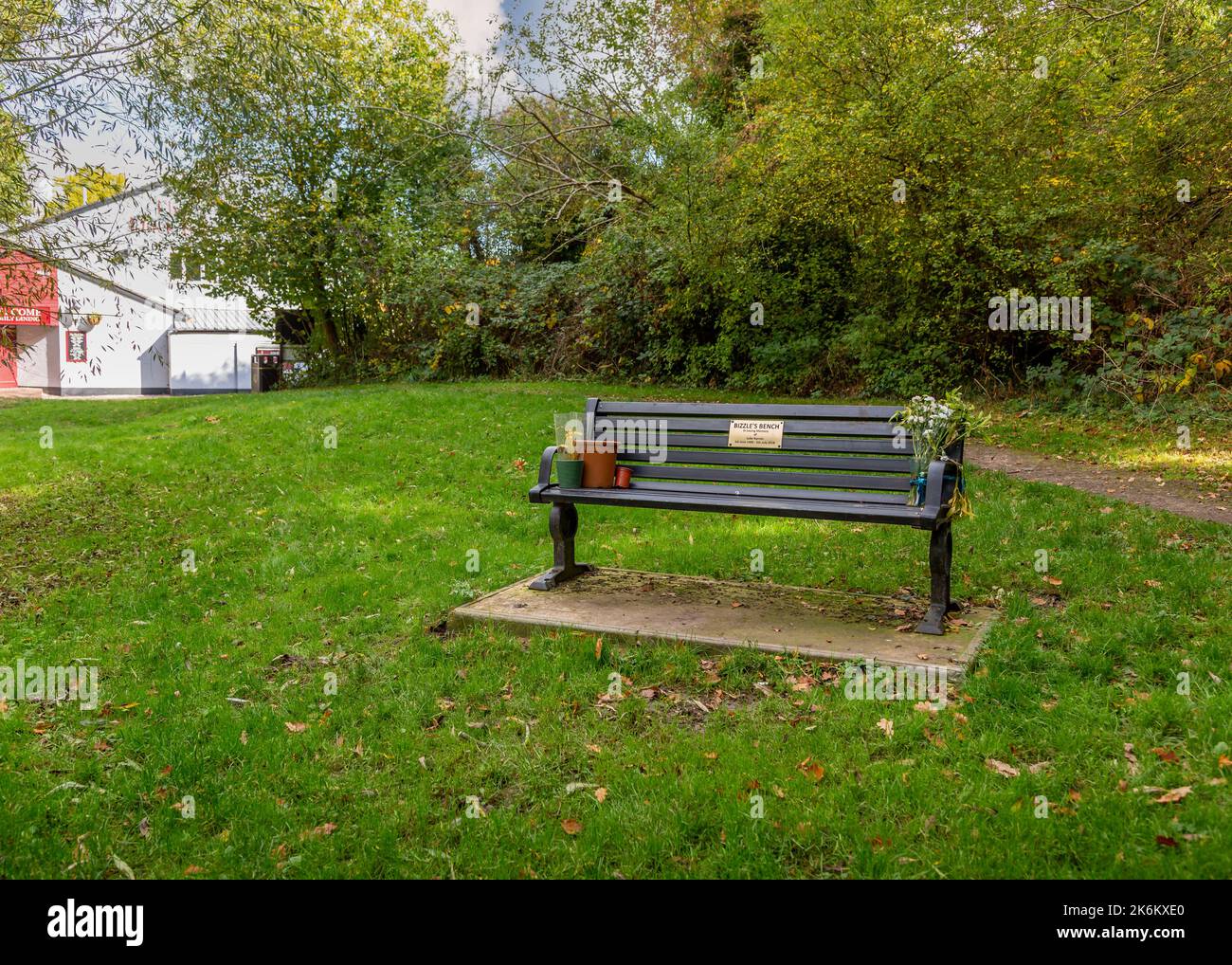 Woodland landscape scene at Oakenshaw Spinney, Redditch, during autumn ...