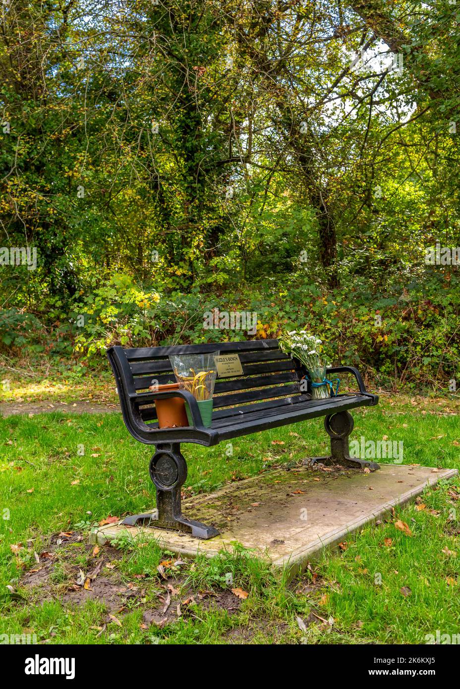 Woodland landscape scene at Oakenshaw Spinney, Redditch, during autumn ...