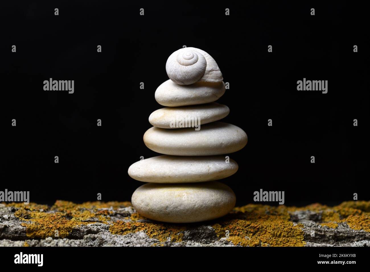 Concha de caracol blanco en lo alto de una pila de piedras con fondo difuminado Stock Photo - Alamy