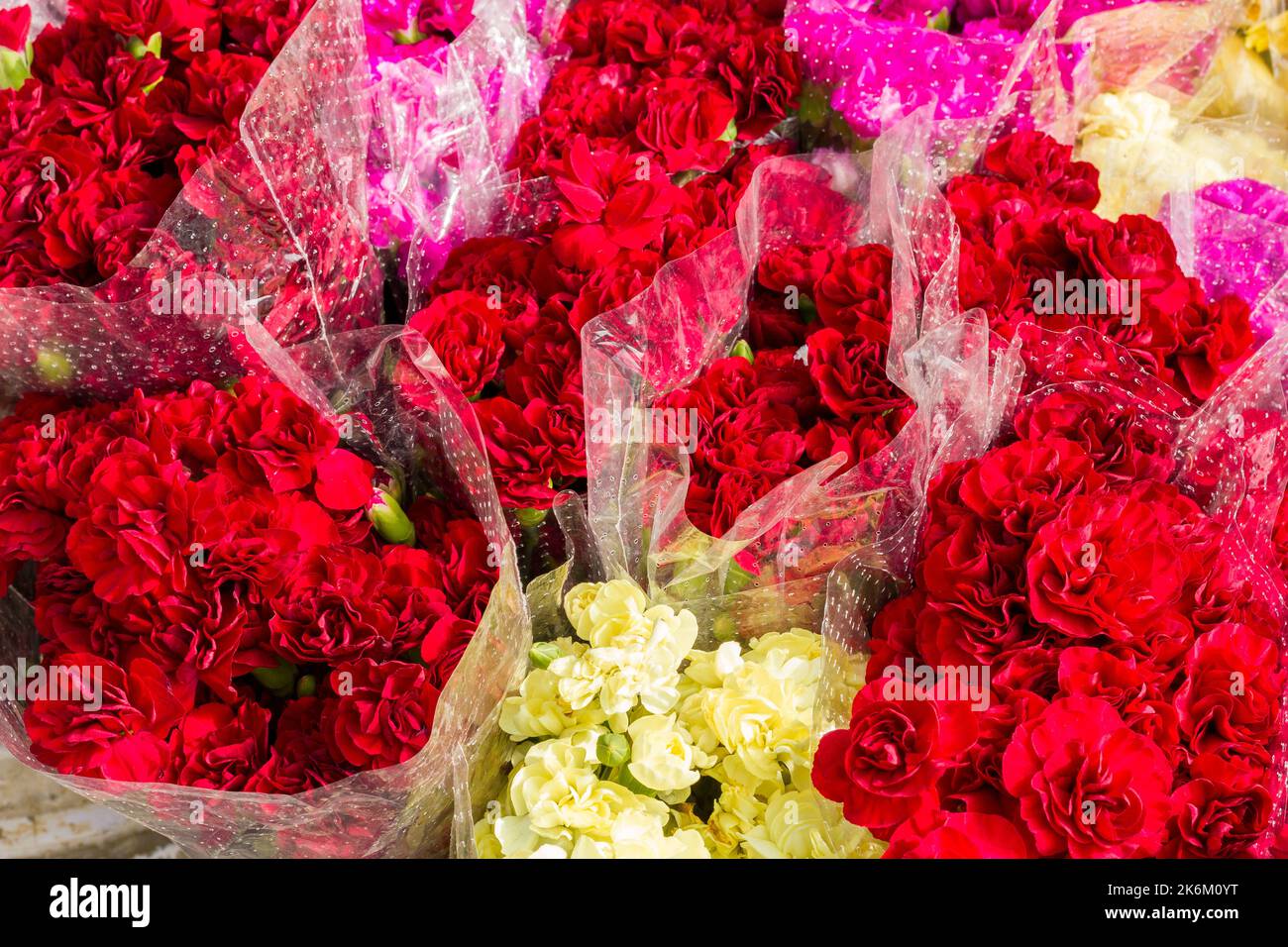Vibrant collage of various flowers hi-res stock photography and images ...