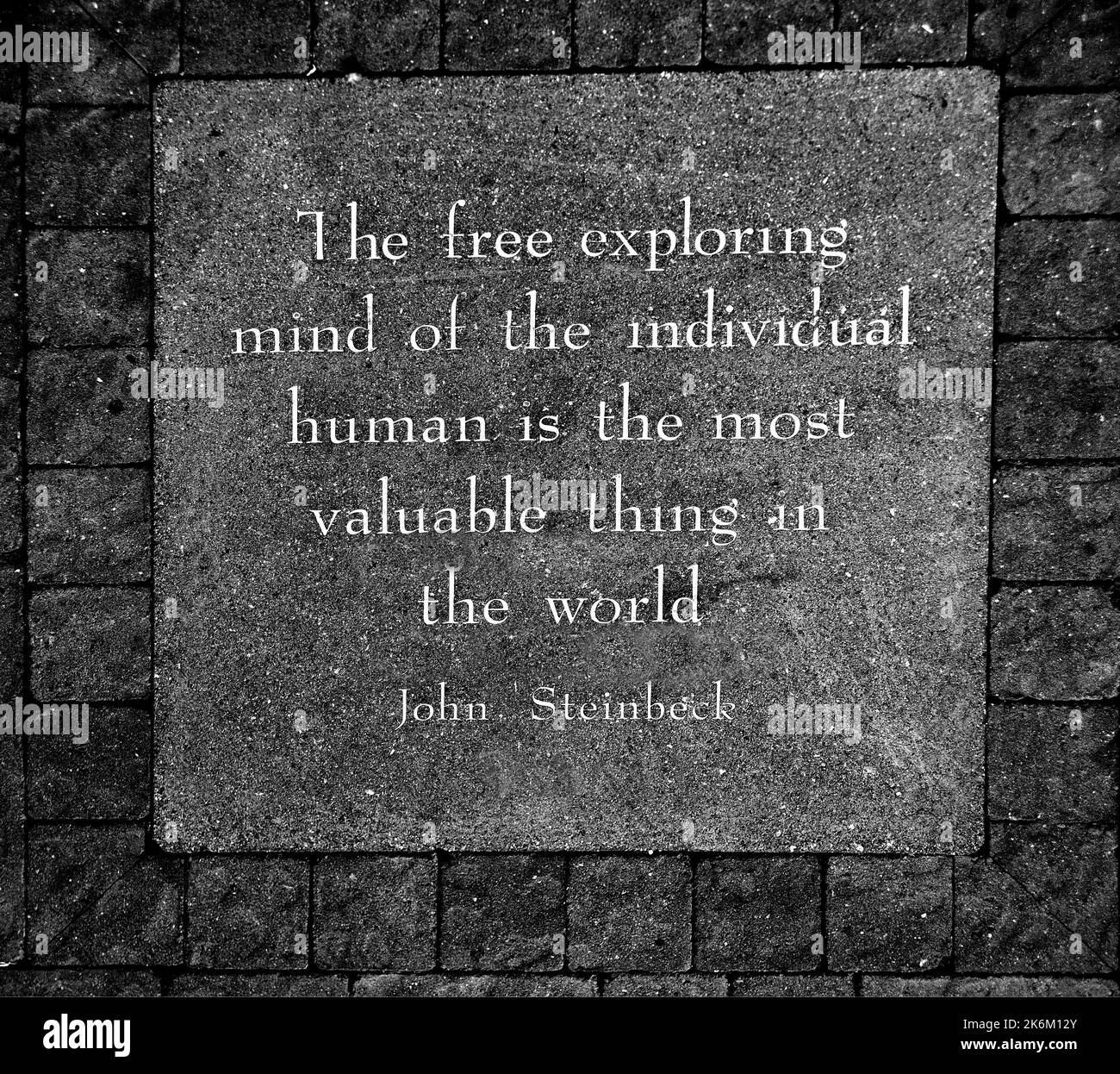 A quote by U.S. author John Steinbeck engraved in a stone plaque ...