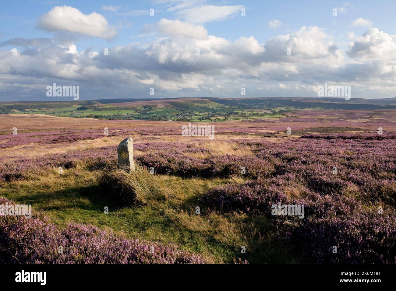 Low moor hi-res stock photography and images - Alamy