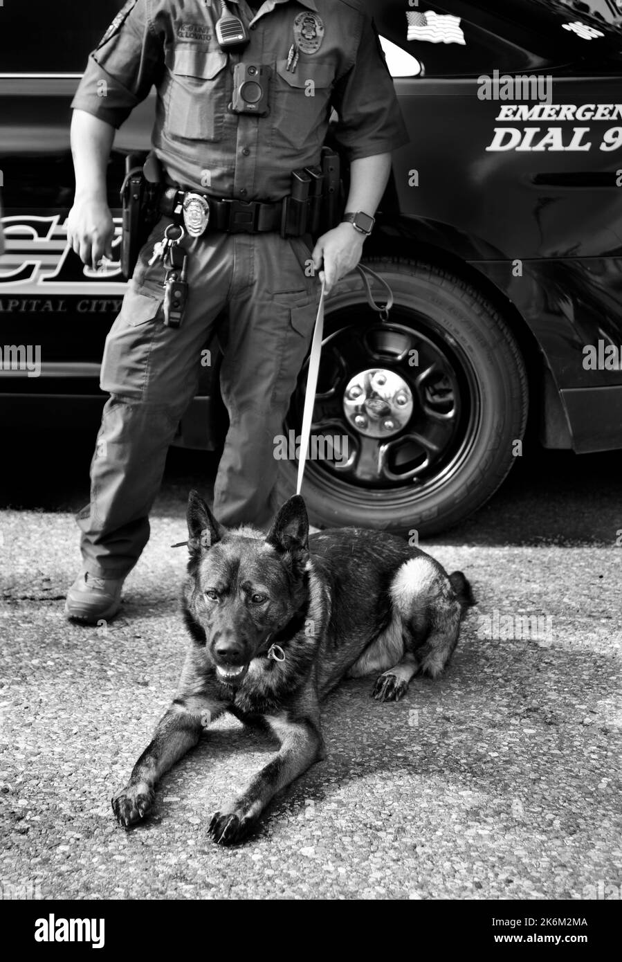 K9 police dog Black and White Stock Photos & Images - Alamy