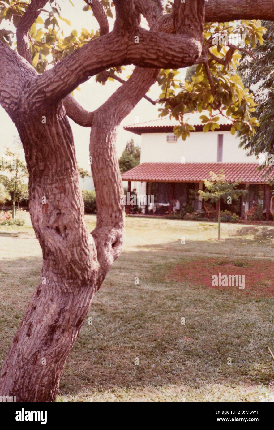Brasilia - Foreign Agricultural Service Agency Head Residency - 1975 ...