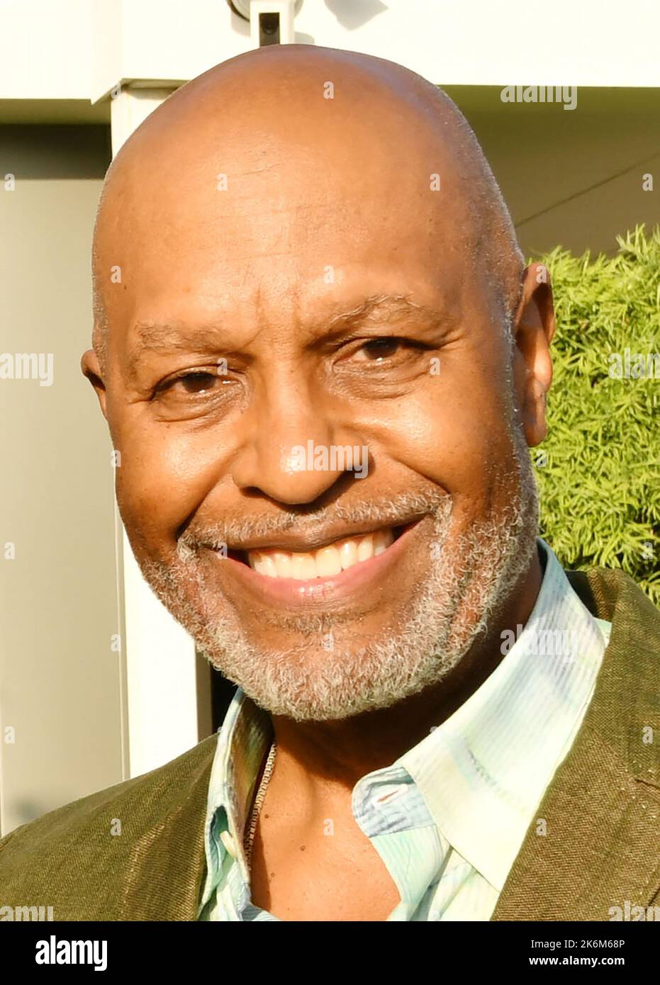 Culver City, Ca. 13th Oct, 2022. James Pickens Jr. attends Marva Hicks ...
