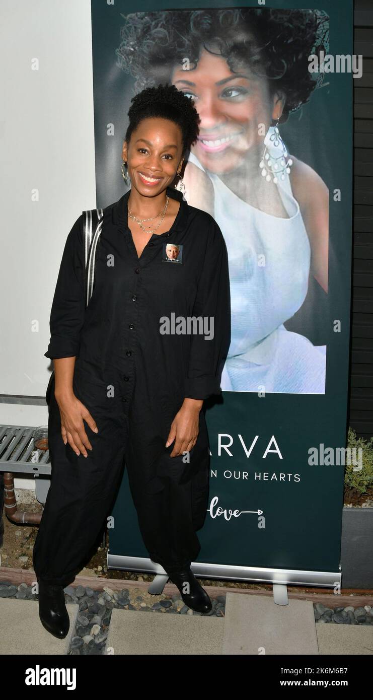 Culver City, Ca. 13th Oct, 2022. Anika Noni Rose attends Marva Hicks ...
