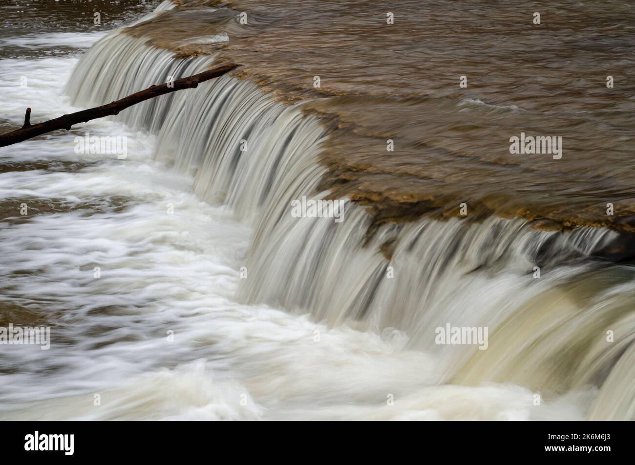 Tall fish hi-res stock photography and images - Alamy