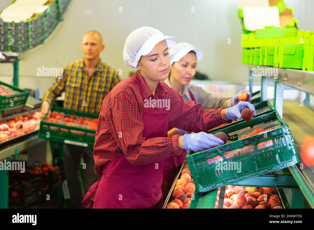 Portrait of positive woman with peaches in her hands next to fruit ...