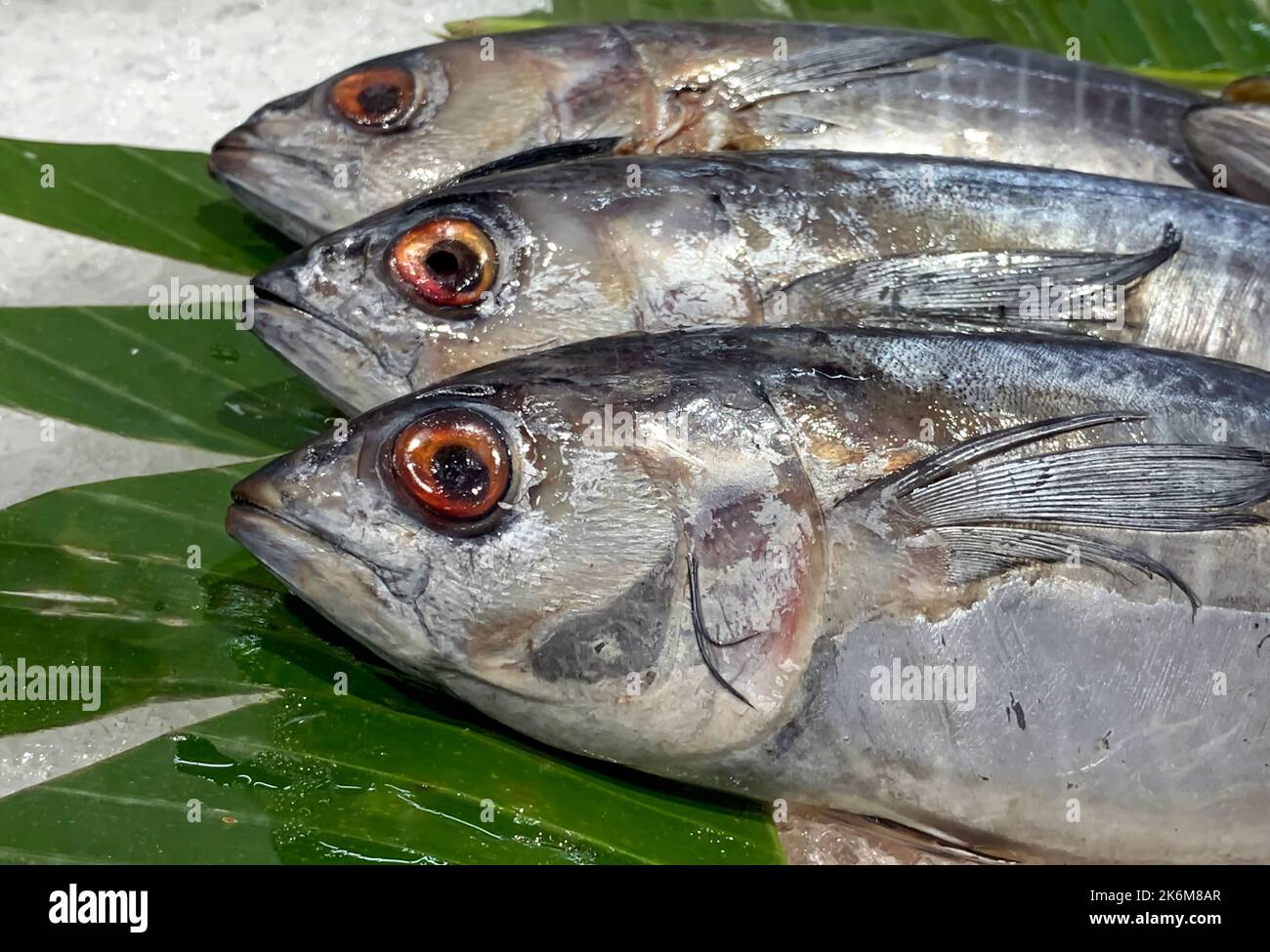 Fresh fish on the ice and banana leaves in the supermarket Stock Photo ...