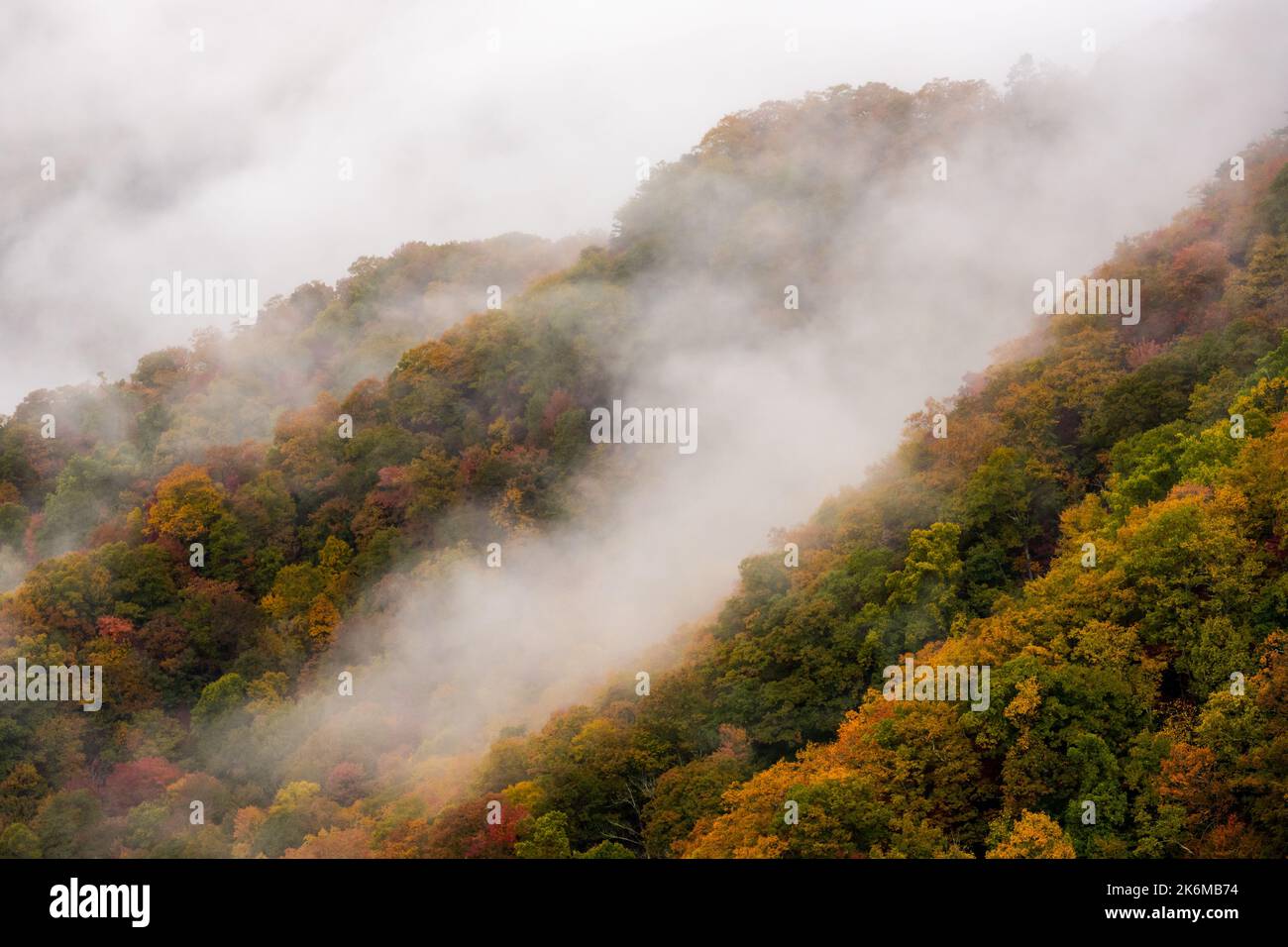 Thick Clouds Fill The Gaps Between Fall Covered Ridges in the Blue ...