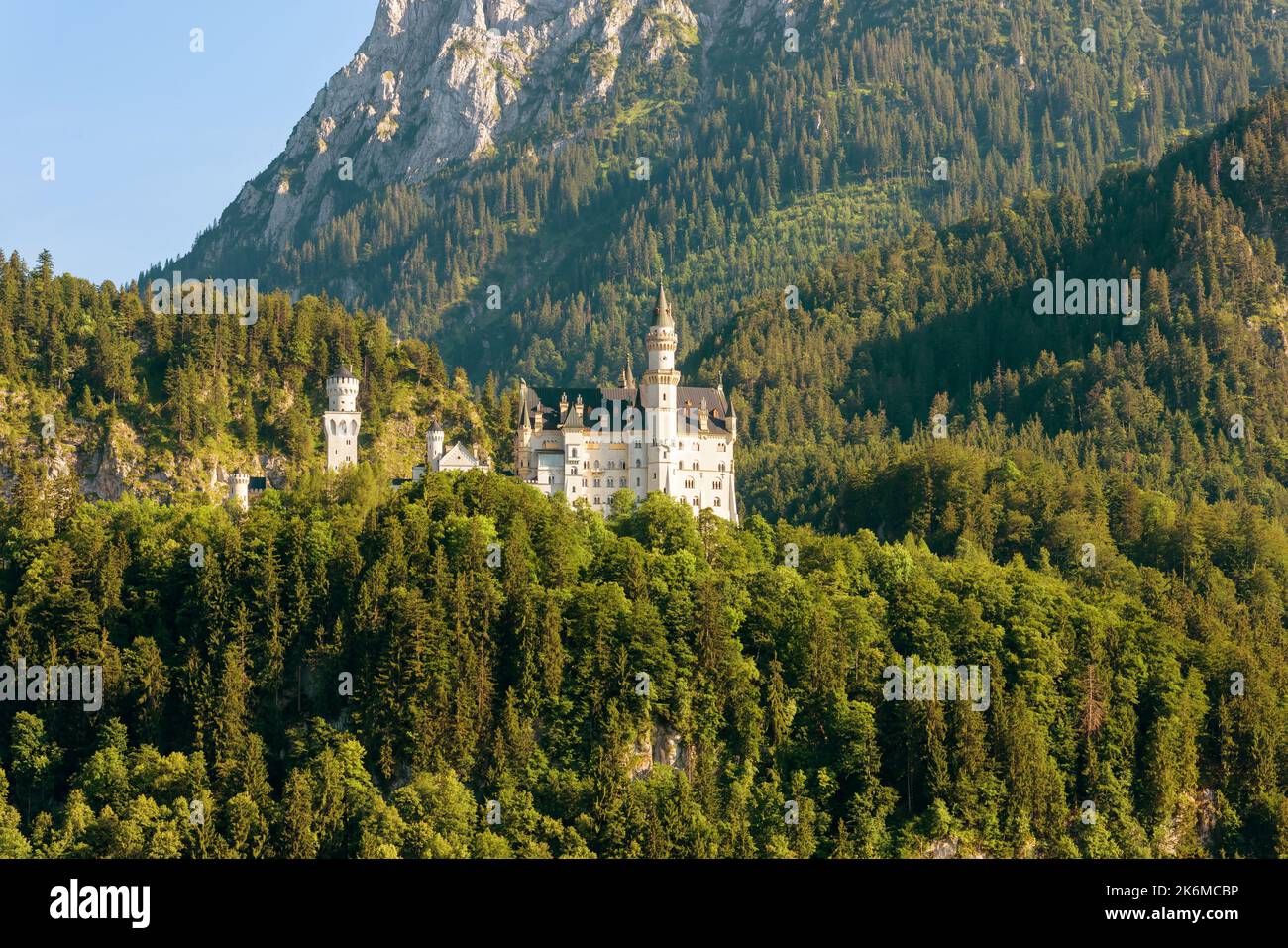 Neuschwanstein Castle in mountain forest, Germany. Scenic view of old ...