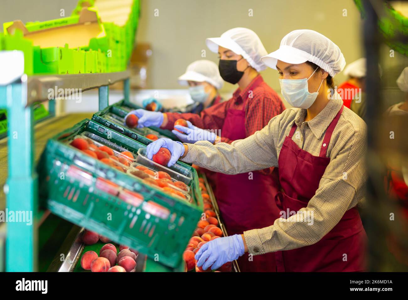 Women with mask sorting peaches Stock Photo - Alamy