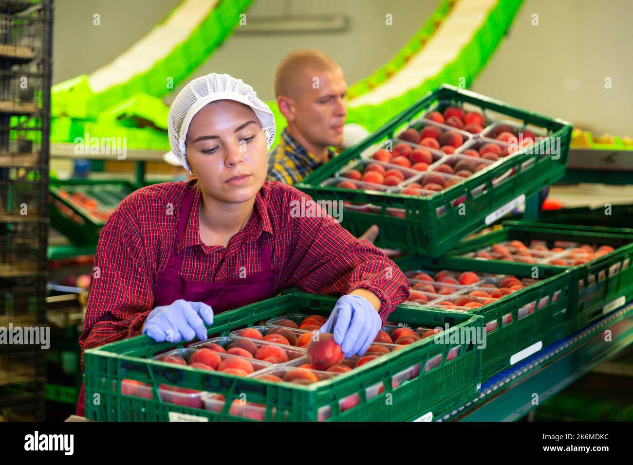 Portrait of positive woman with peaches in her hands next to fruit ...