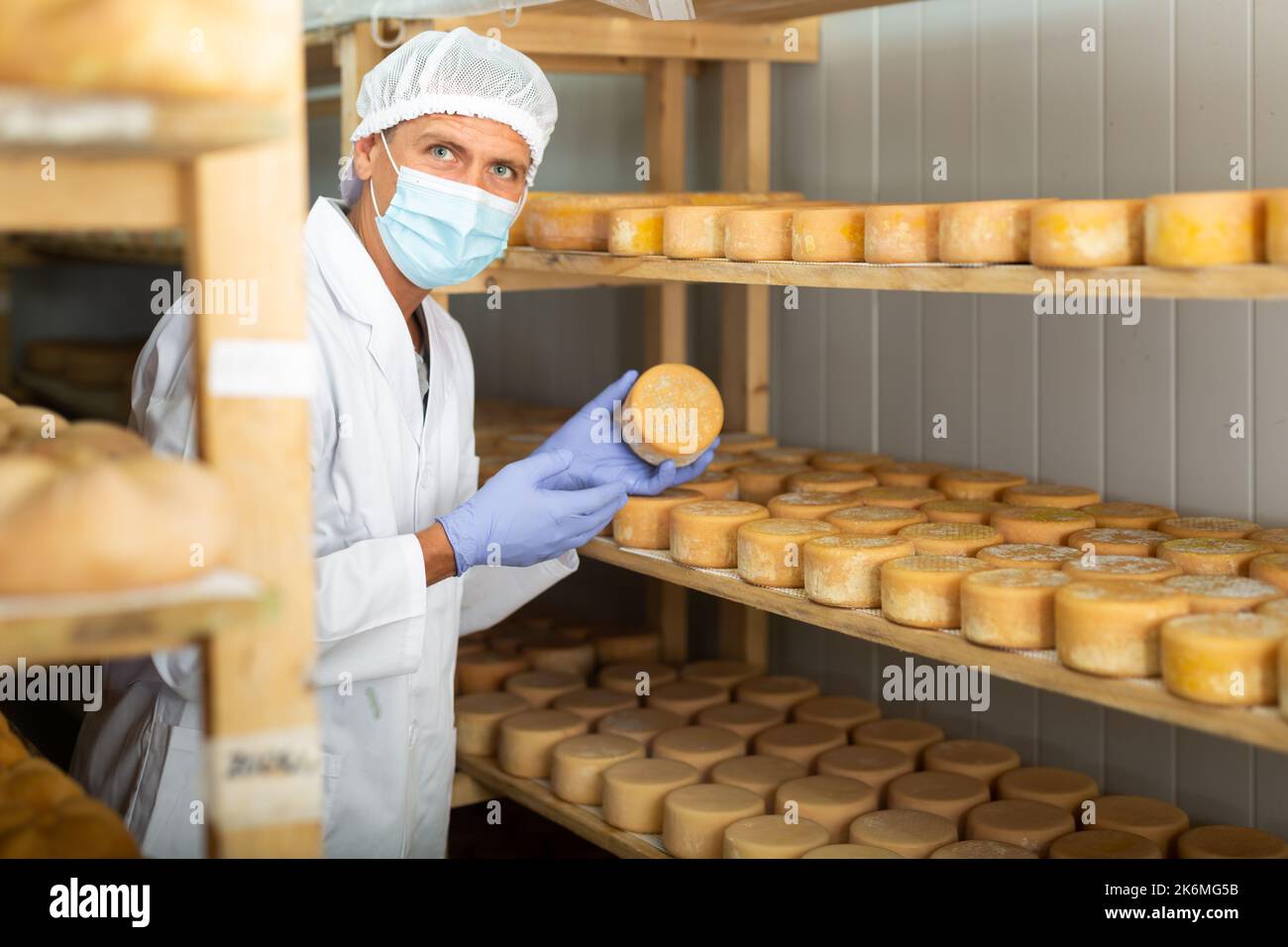Cheesemaker in mask controlling maturing process of cheese wheels Stock ...
