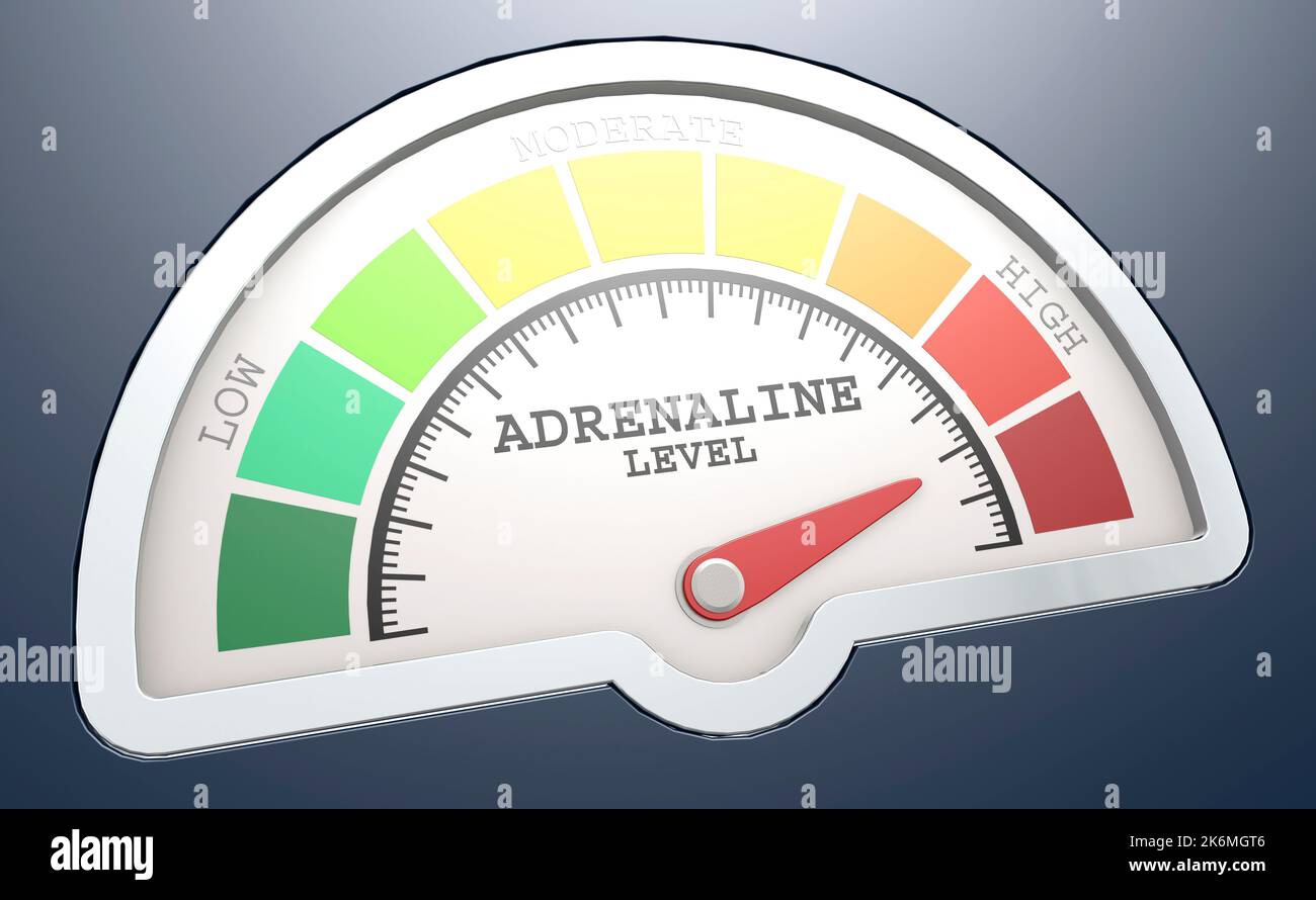 Adrenaline level measuring scale with color indicator, 3d rendering Stock Photo - Alamy