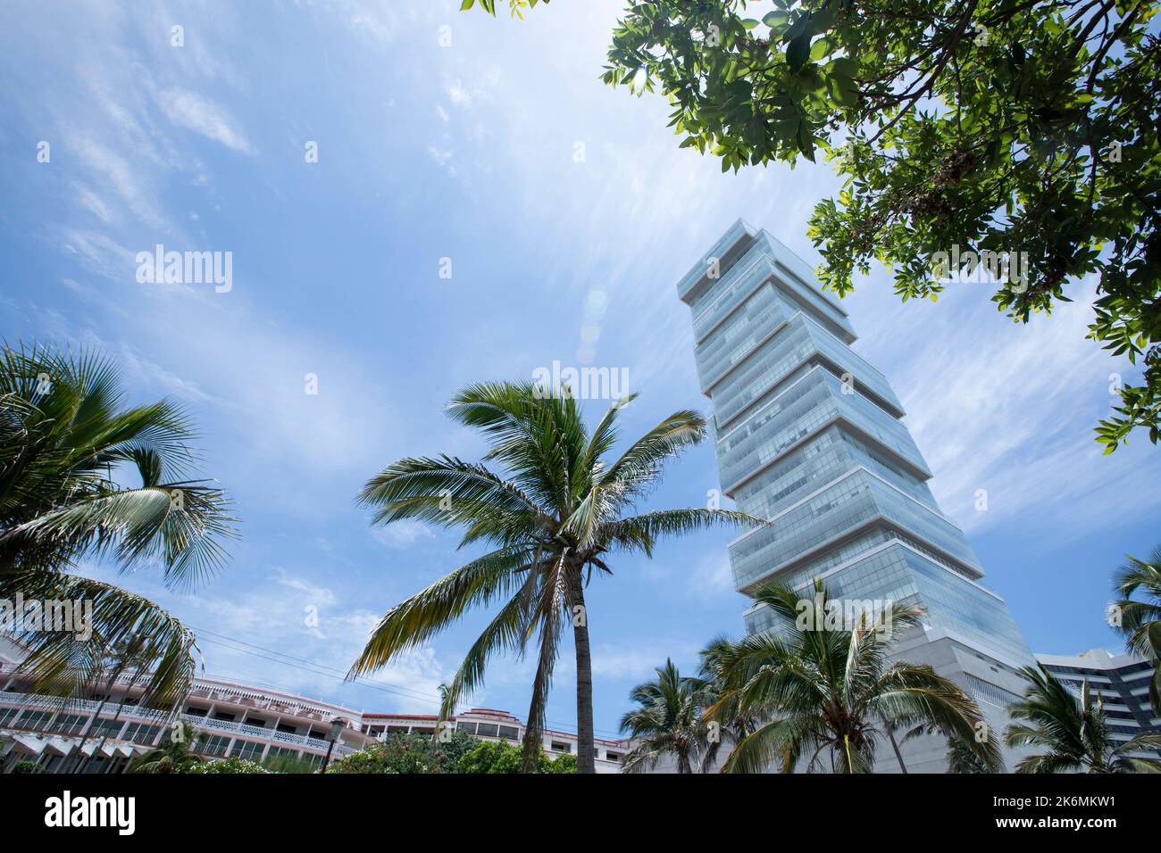 Palm framed view of the skyline of downtown Boca Del Rio, Veracruz ...