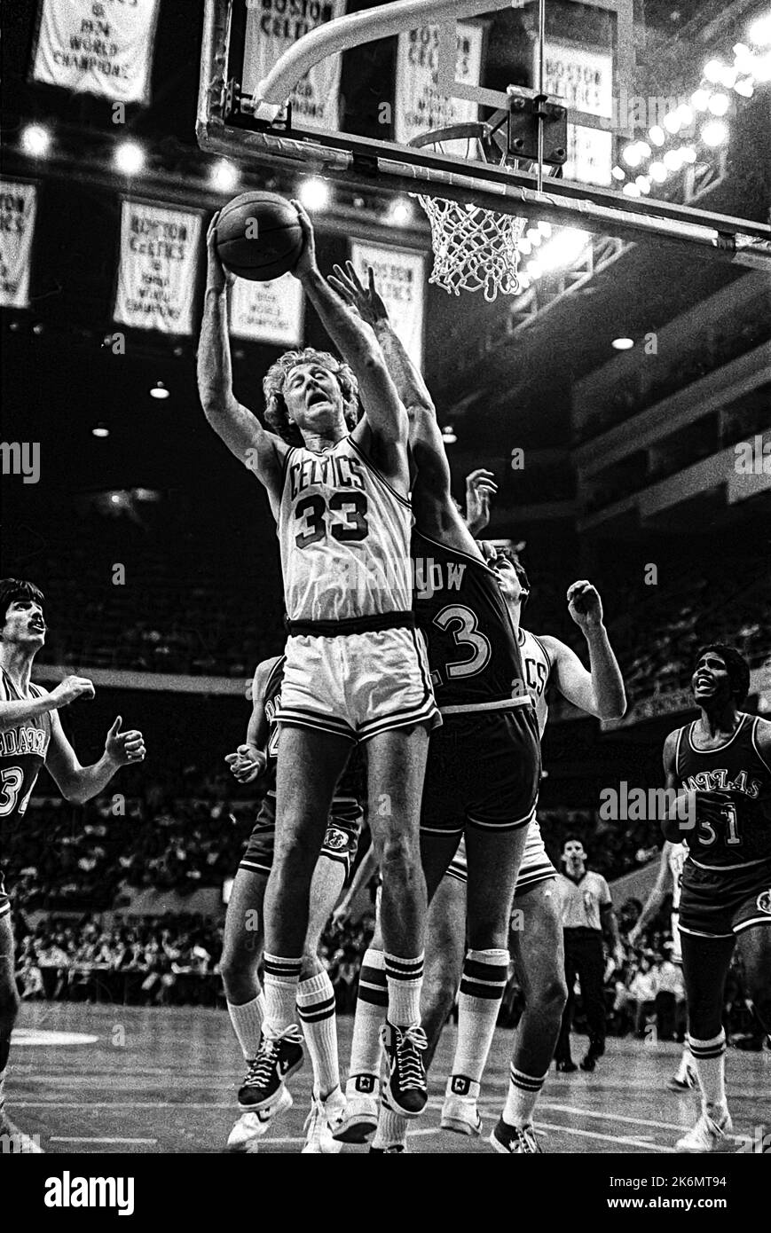 Larry Bird competing for the NBA Boston Celtics during 1981-82 season ...