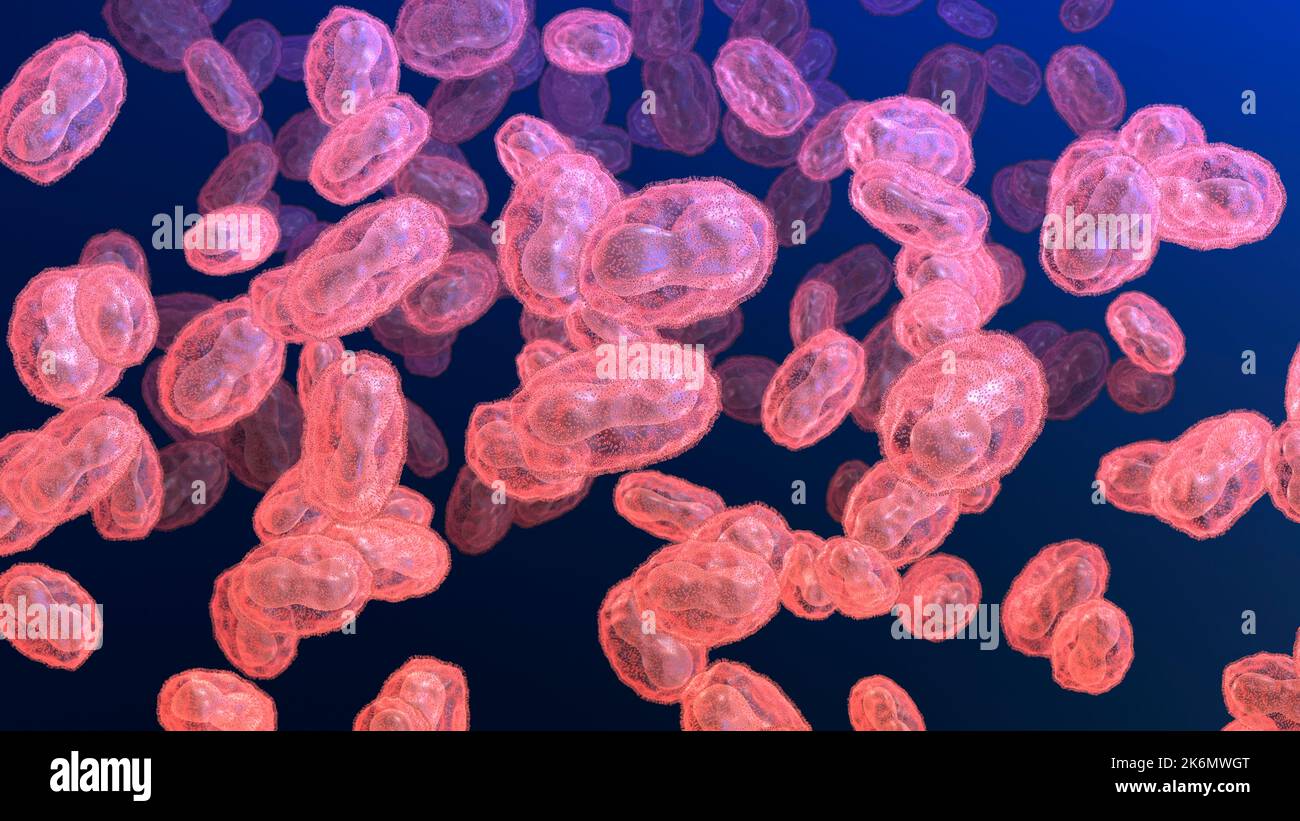Monkey pox viruses, illustration Stock Photo - Alamy